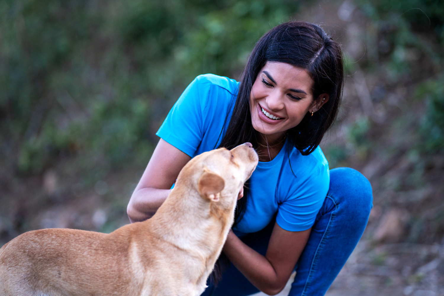 Ford Puerto Rico se une al Santuario Canita para promover la adopción ...
