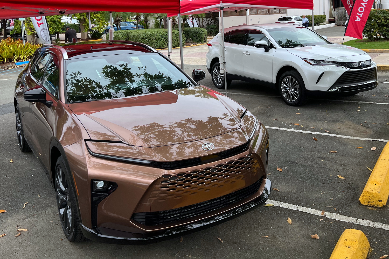 Llega a Puerto Rico la nueva Toyota Crown Signia 2025 - James Lynn ...